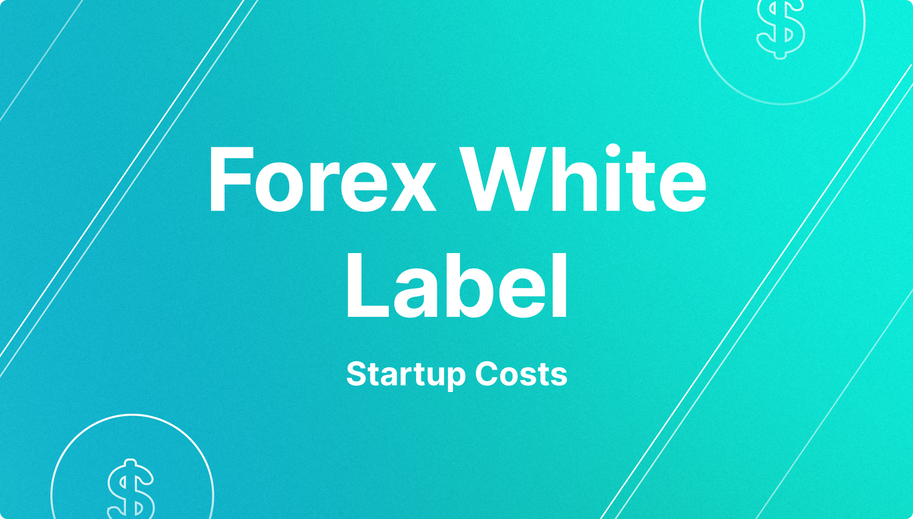 A Complete Breakdown of White Label Forex Startup Costs